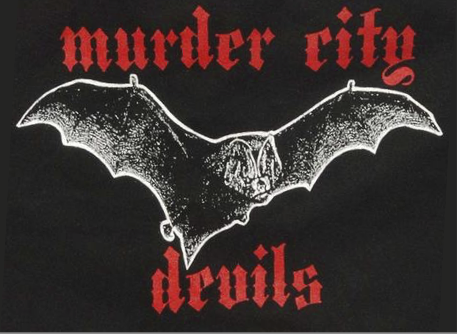 The Murder City Devils